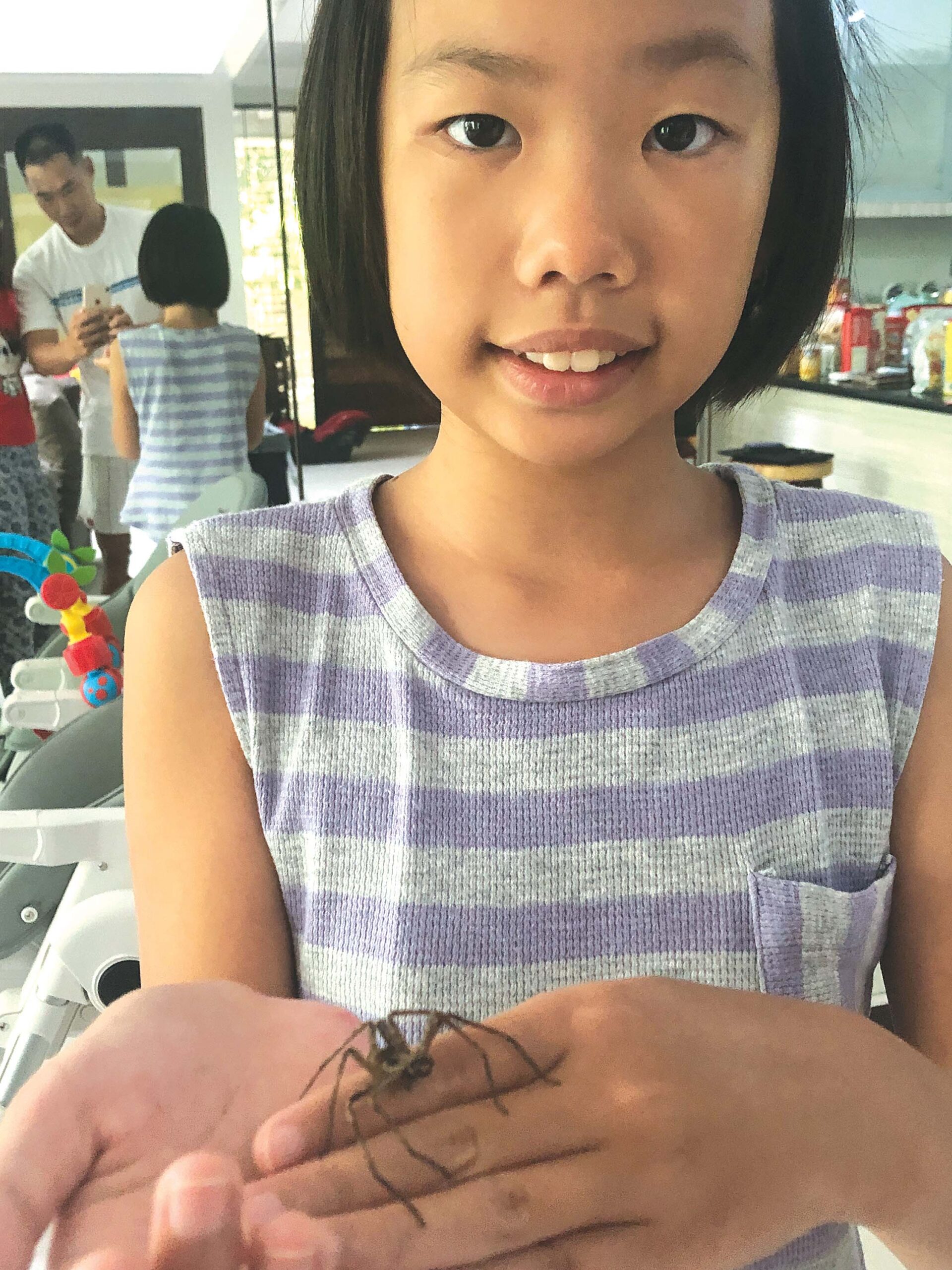 Wildlife in Palawan Part 2 of 3: Tuko (PART 4 OF 4) – Animal Scene Magazine