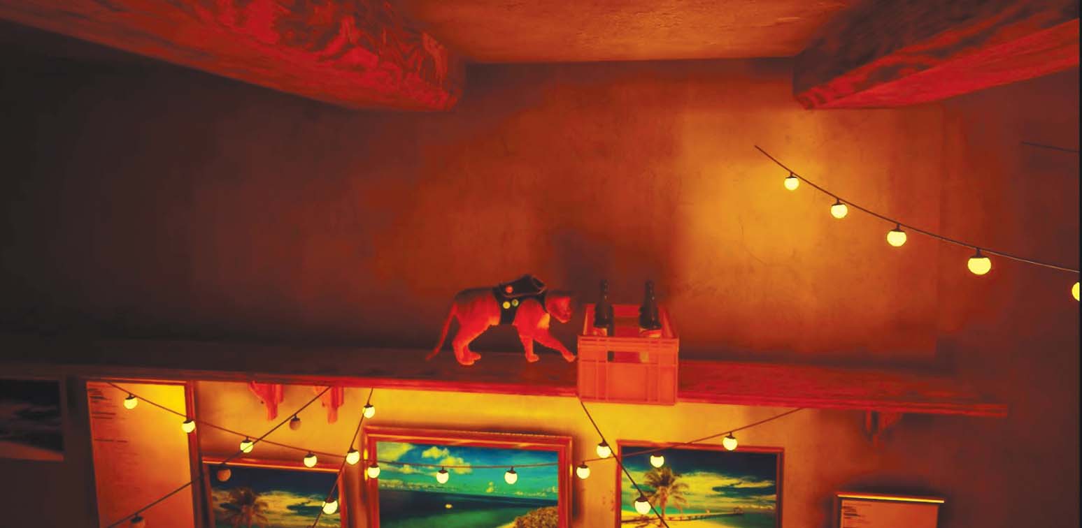 The new hit video game “Stray” is almost purrfect – Animal Scene Magazine